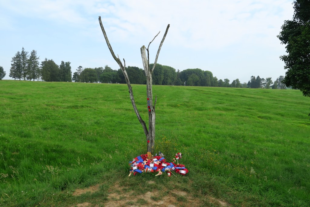 The Danger Tree – Following the Twenty-Second